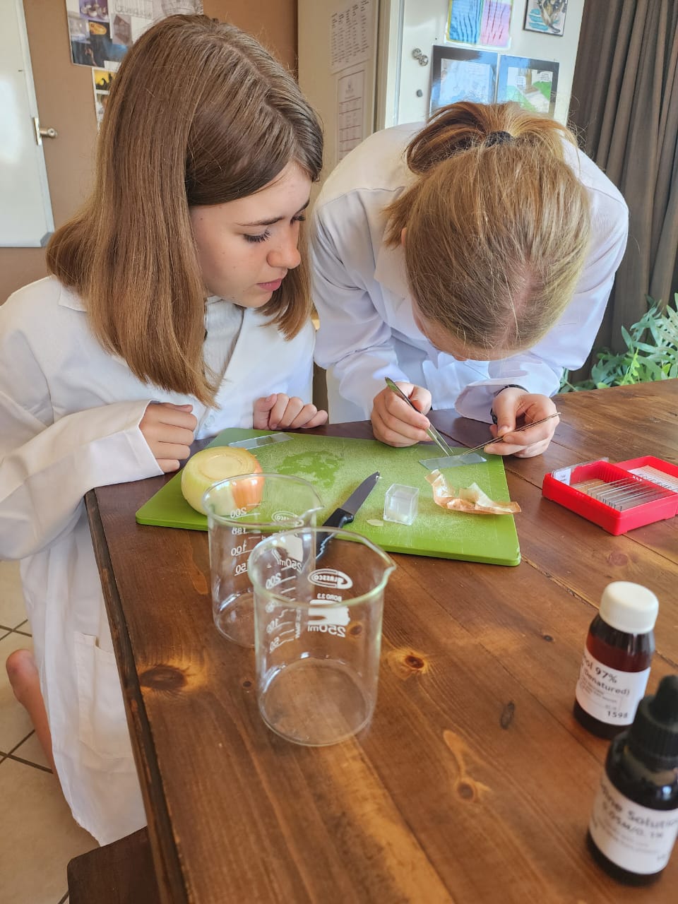 About – Nebula College